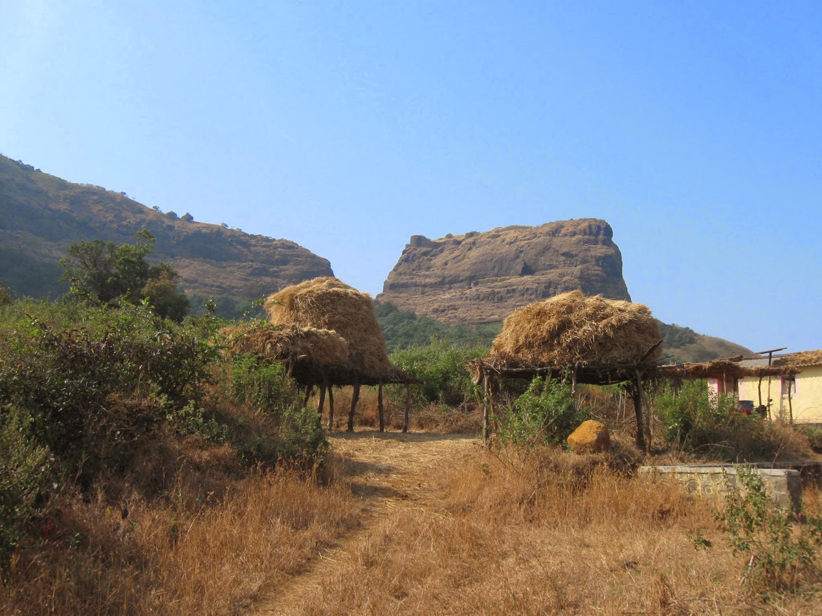 Rapid Uplift: Field Photos: Basalt Landscapes Around Fort Ghangad Near Pune