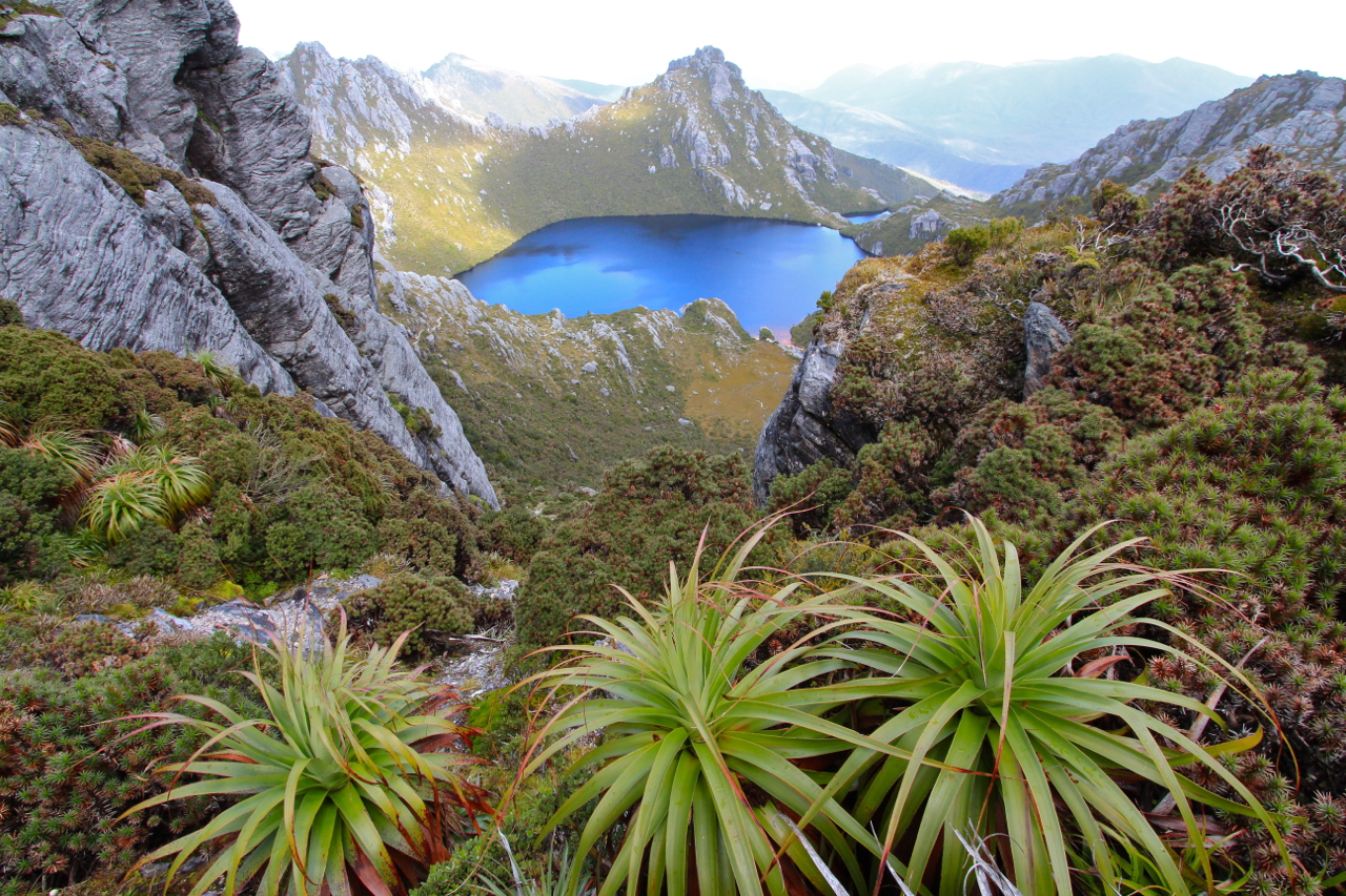 awildland: The Western Arthur Range - Southwest National Park, Tasmania