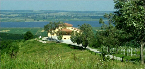 Otestii de sus: Vinurile de Dragasani