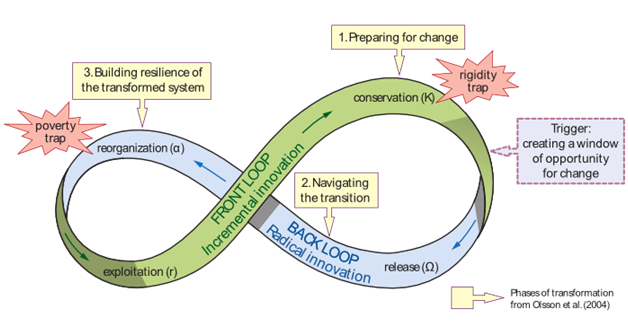 BES Urban Lexicon: Adaptive Cycle