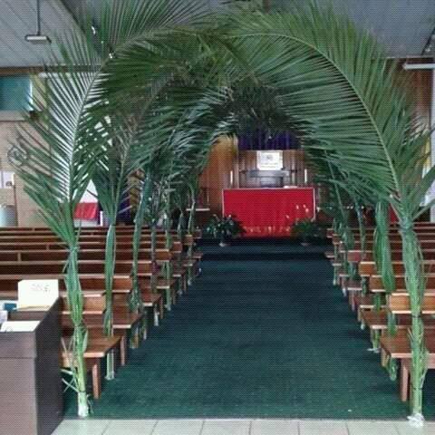 Welcome to Muoghalu Ebere Favour's Blog: Photo:Palm Sunday Church ...