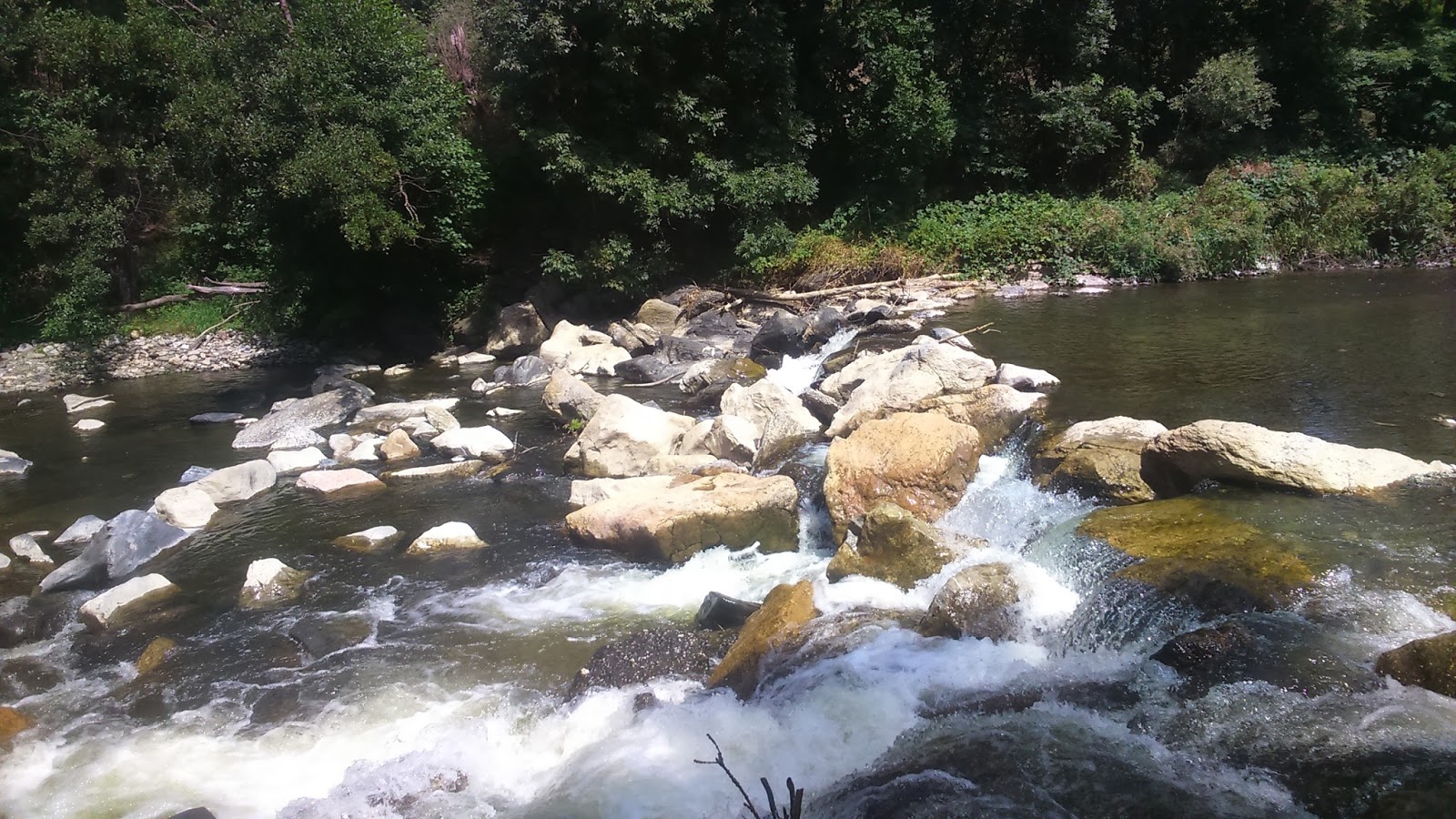 divagando, divagando...: El Segre, dejá-vus, Bécquer y Ricard (Pir3)