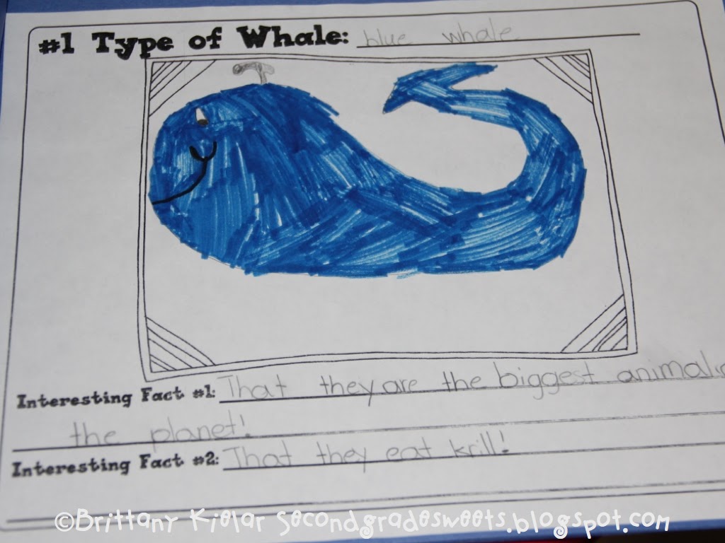 Sweet Seconds: Frames, Oceans, and Vertebrates