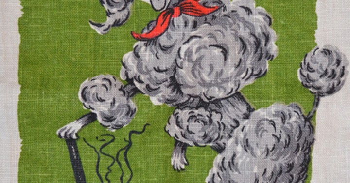 Time For Poodles And Friends: Poodle In The Kitchen-Our Favorite ...