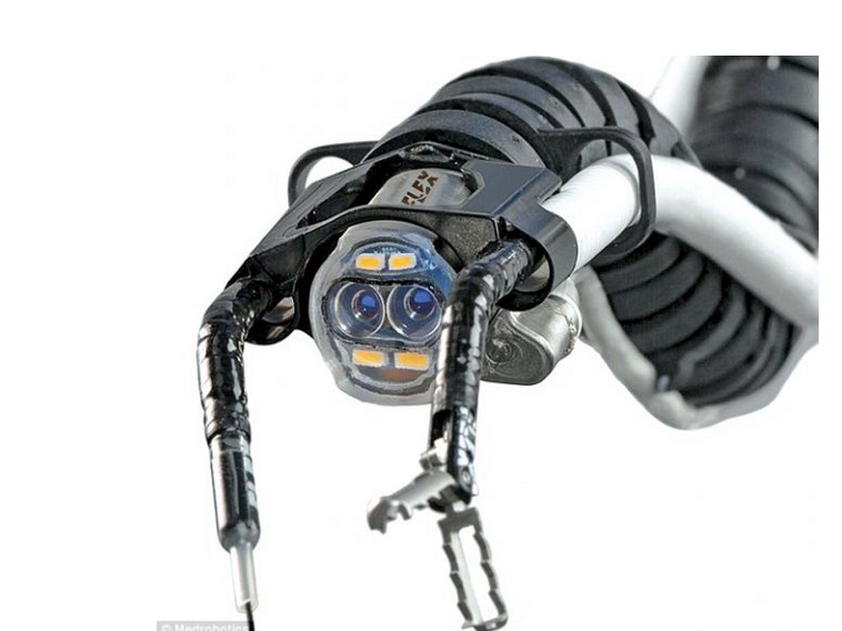 This Medical Snake Robot Will Enter Your Mouth And Creep Inside You ...