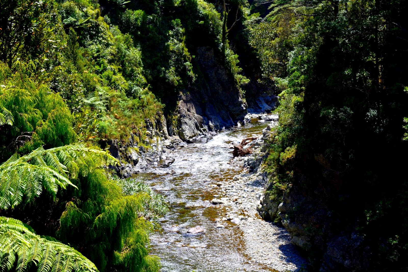 PL Fallin Photography: Rivendell, Elves and A Swinging Bridge, Kaitoke ...