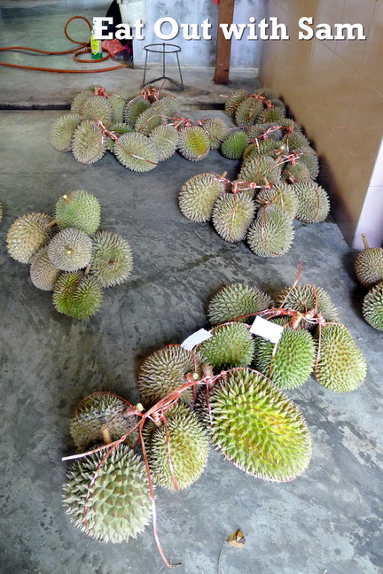 EAT OUT with SAM: Durian Feast @ Stone House Plantation (Rumah Batu ...