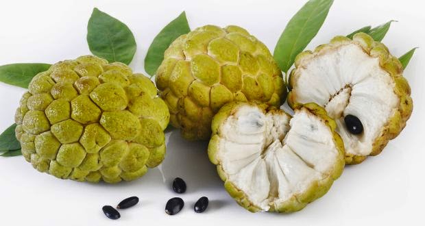 Koromcha | Precious Fruits of Bangladesh | Kamranga