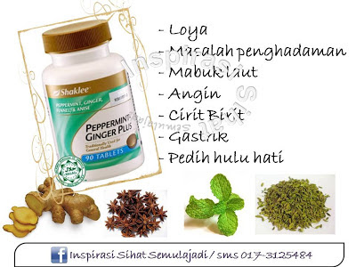 Peppermint Ginger Plus untuk keselesaan perut - Jana Hazana