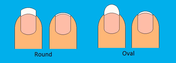 NailsByStephanie: Nails Shapes and Sizes