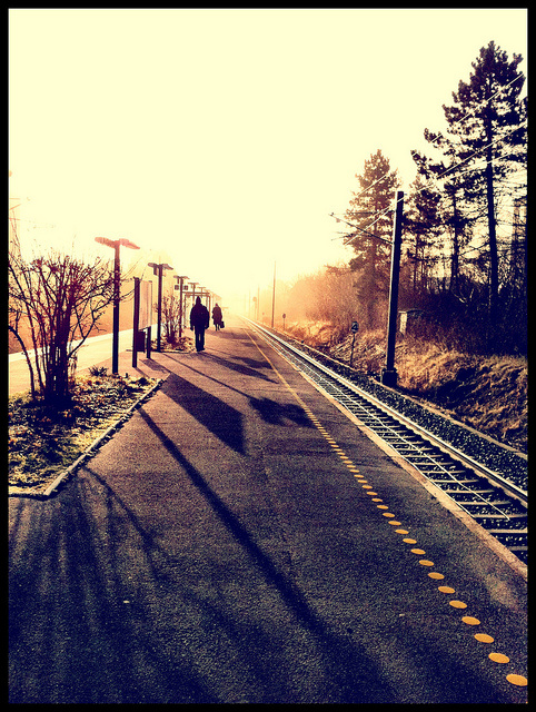 10 Amazing Examples Of Mobile Phone Photography #2