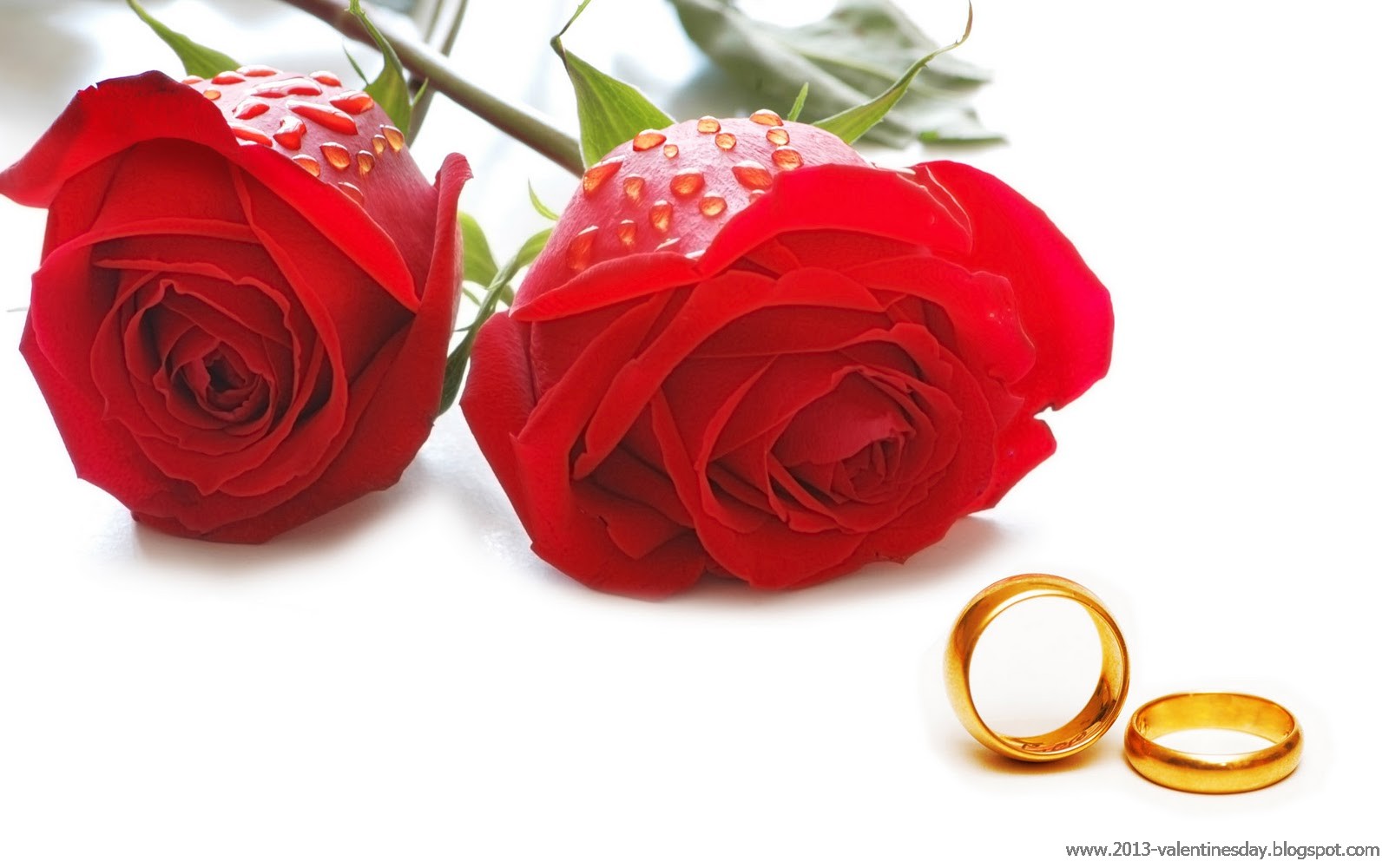 Rose Day 2016 Hd Wallpapers And Red Rose Pictures