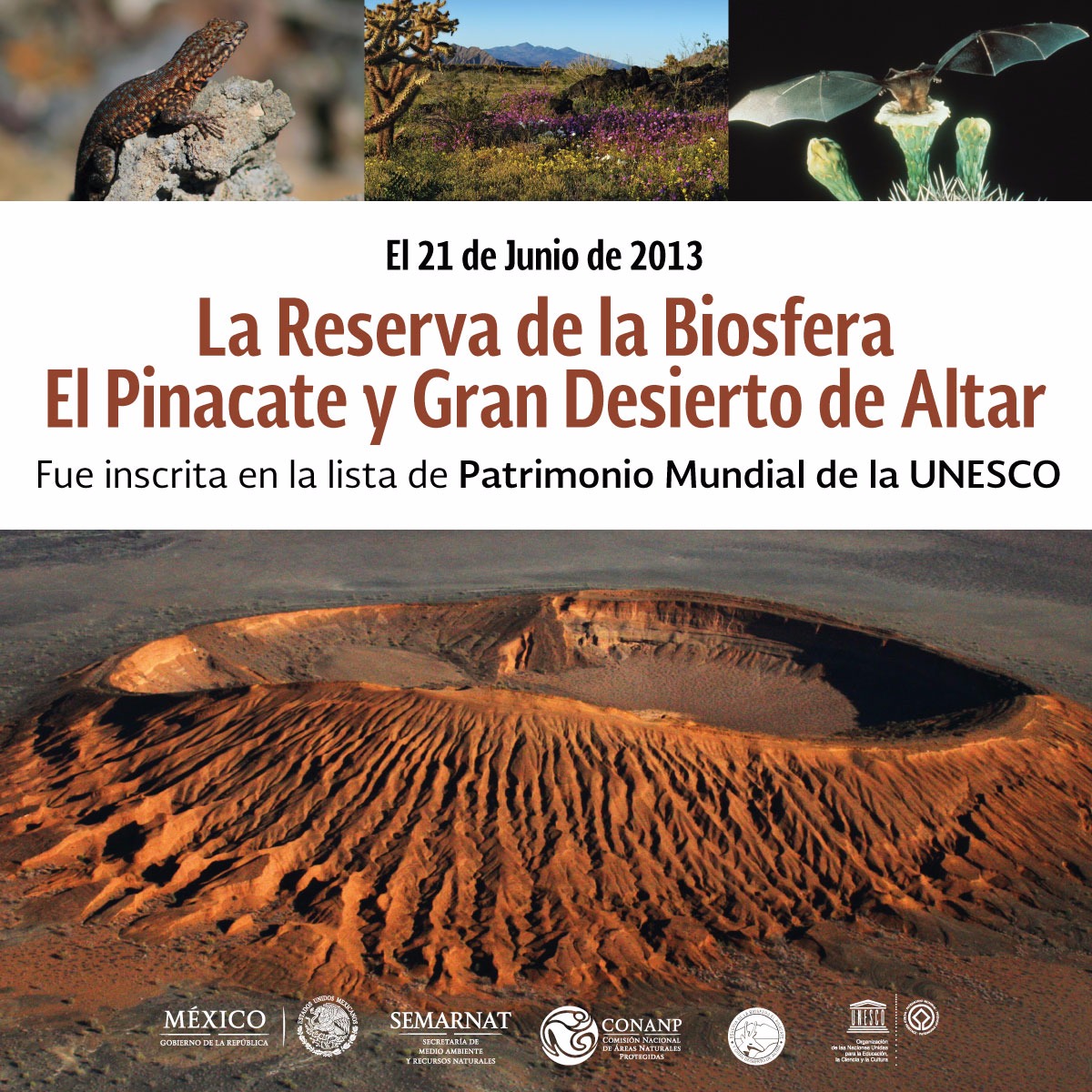 En 2013, la Reserva de la Biosfera El Pinacate y Gran Desierto de Altar ...