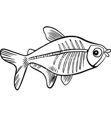 X-ray fish coloring page