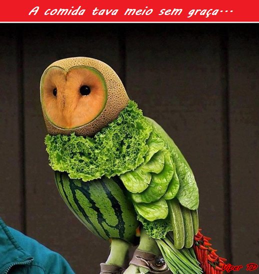 Brincando com a comida.