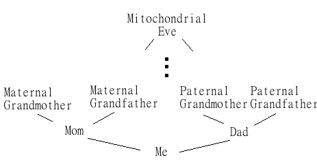 P4P: A Graphical Introduction to Lattices