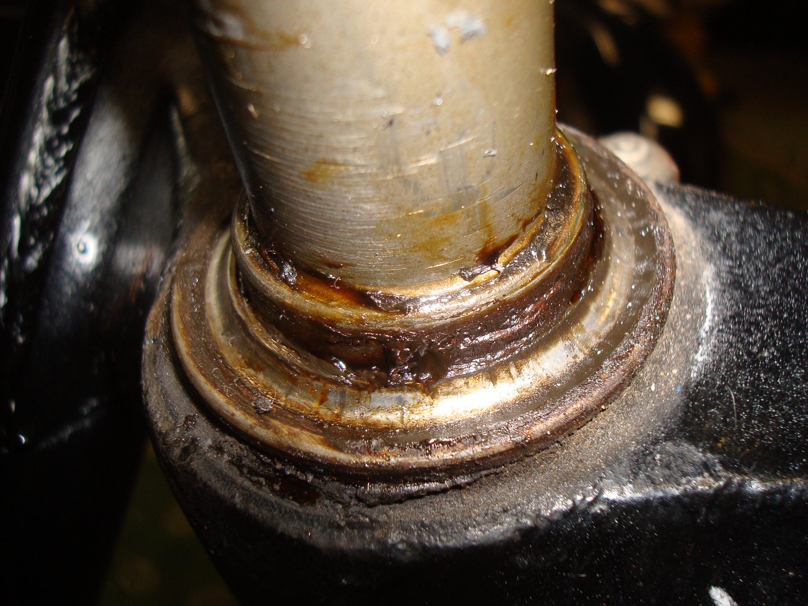 Scottie's Workshop: Servicing the Earles fork