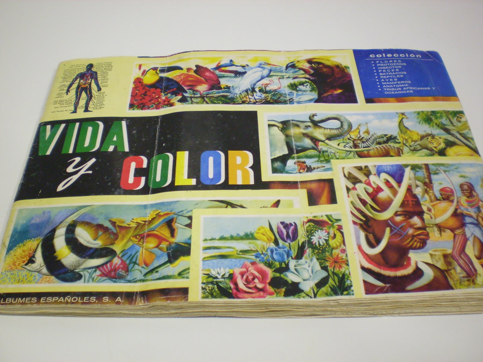 Vintagería: Album de cromos "Vida y color" año 1965