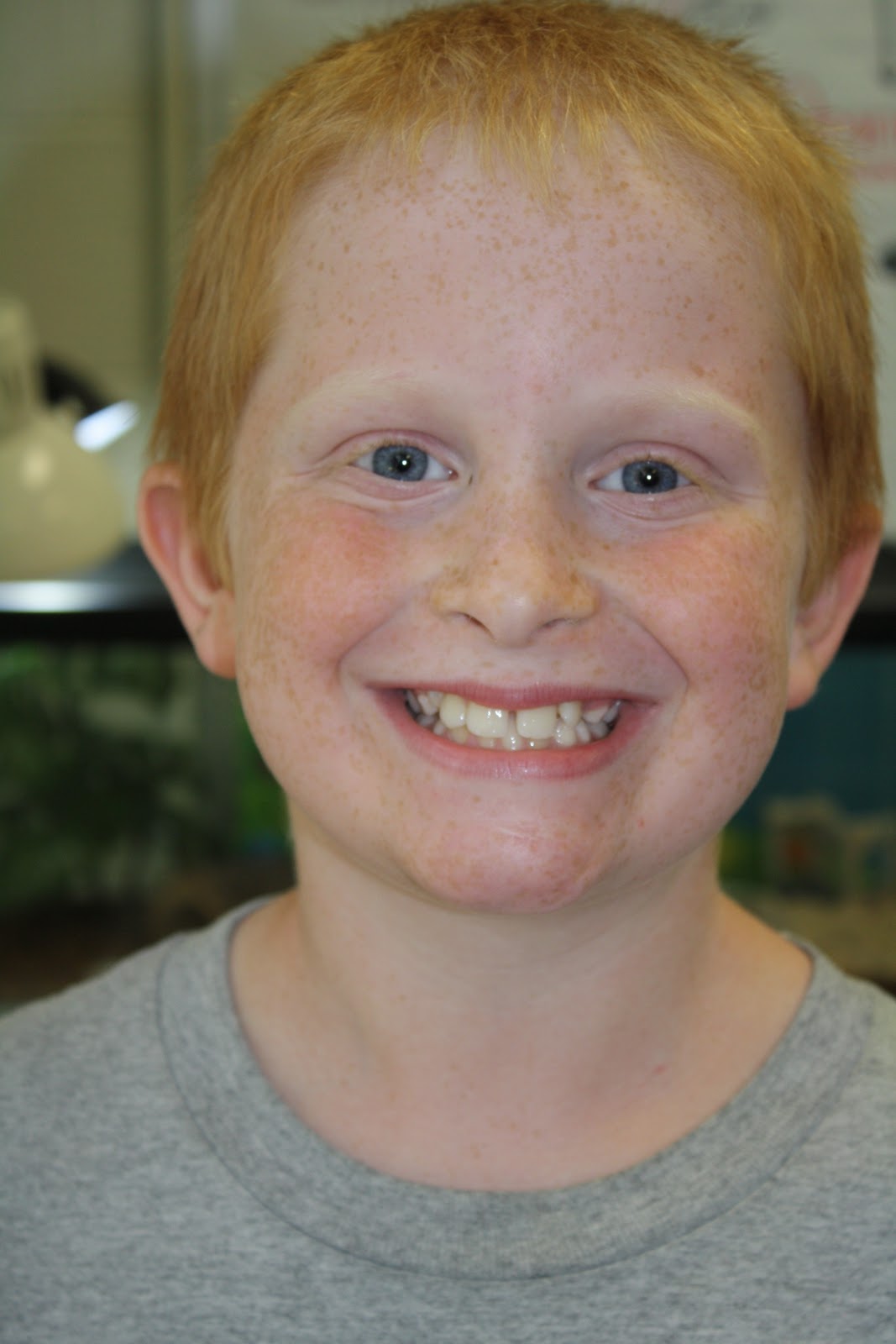 Miss Whitsell's 4th Grade: Classroom Photo Album