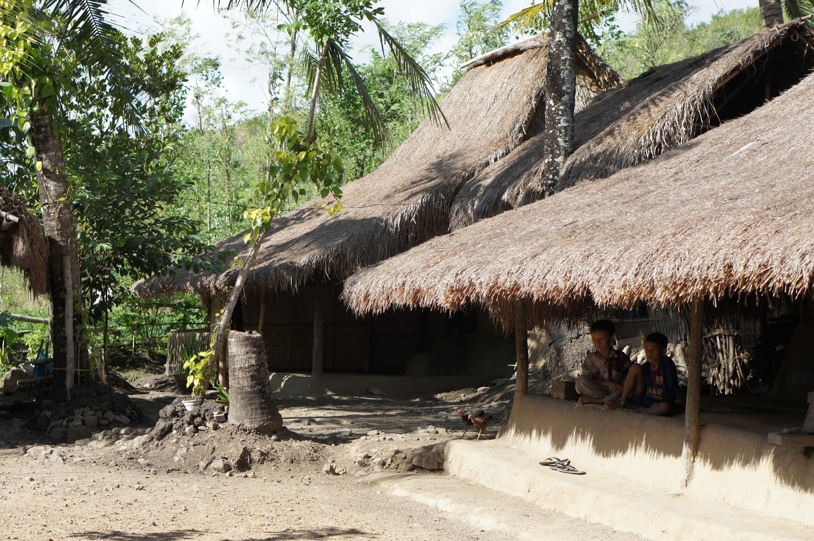 Acaranya Jalan Jalan: Pink Beach (Pantai Tangsi), Lombok, Nusa Tenggara ...