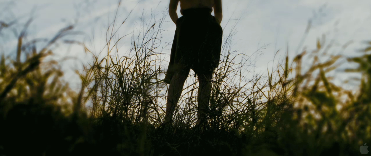 my new plaid pants: Fourteen Frames From The Stoker Trailer