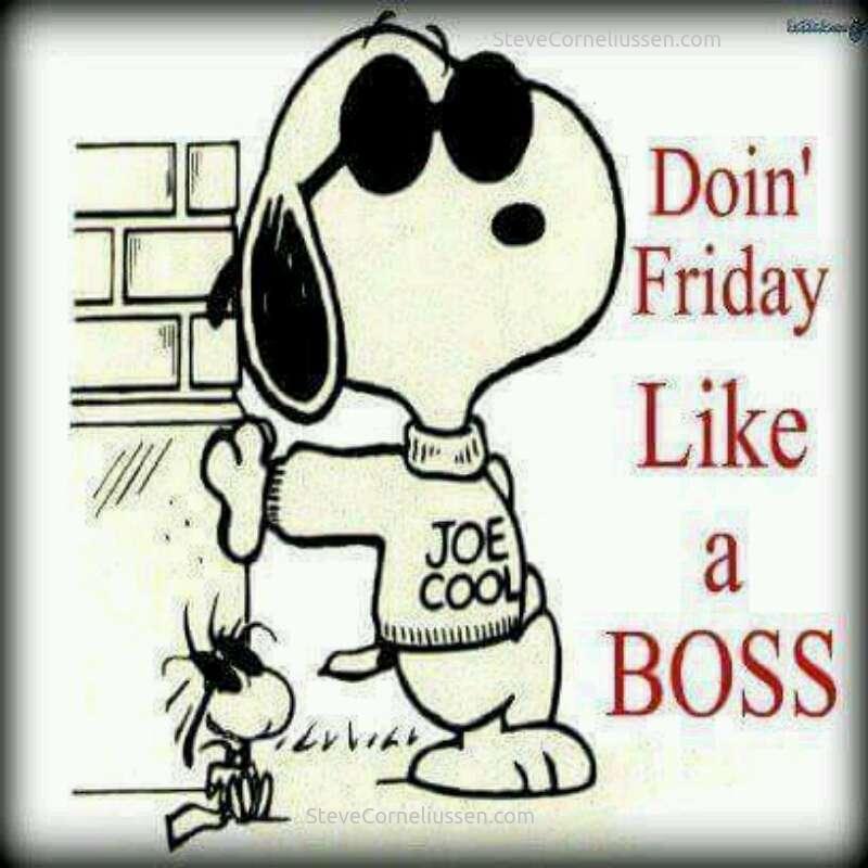 SteveCorneliussen.com: Doin' Friday like a Boss