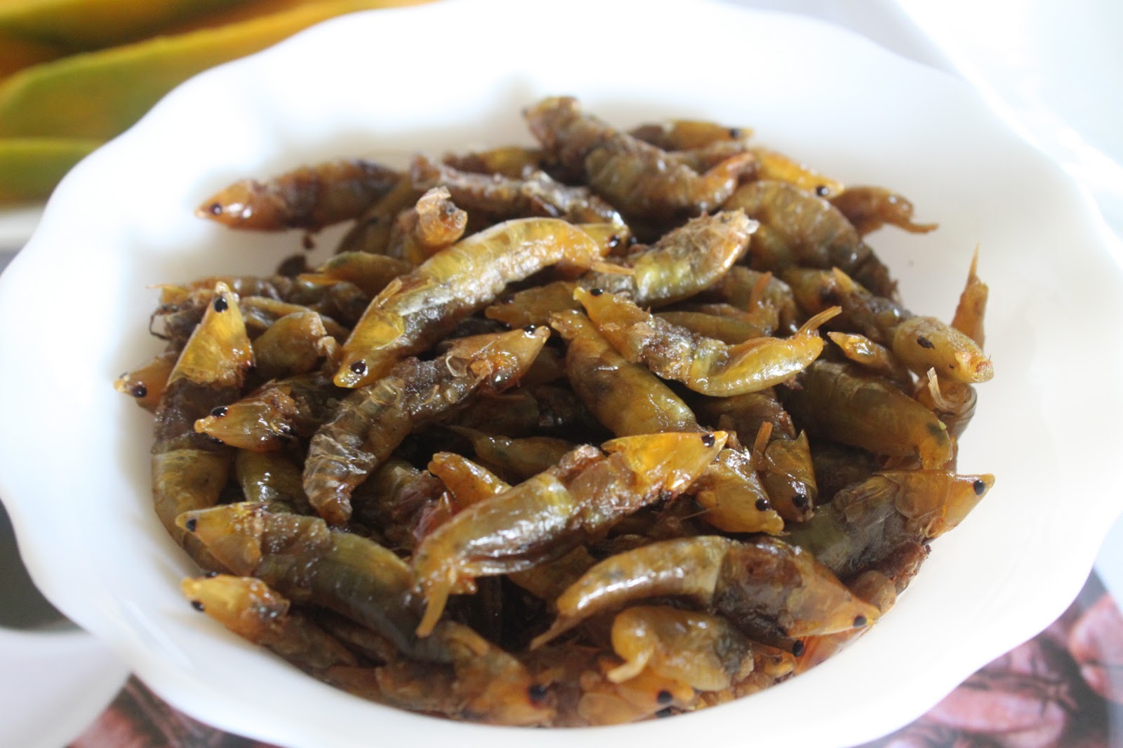 Life in Tanzania: Grasshopper Snack
