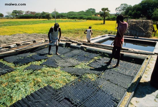 Natural Dyes - About The Organic Indigo Vat - the MAIWA BLOG