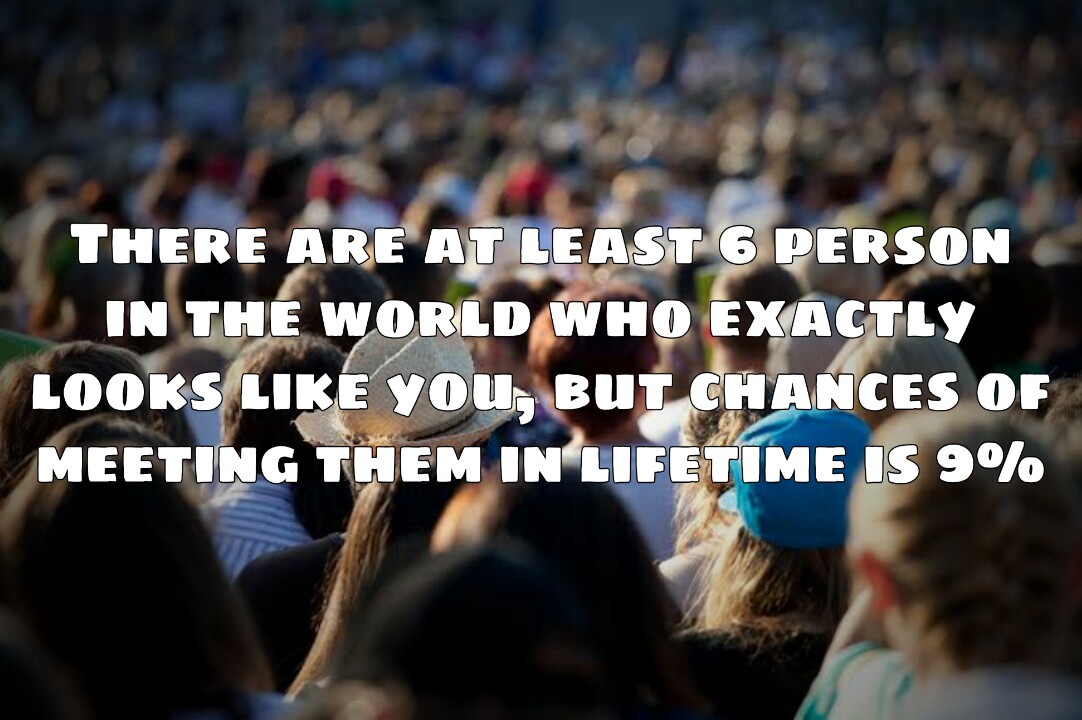 Amazing Facts About Daily Life - Random Life Facts - The Fact Hub