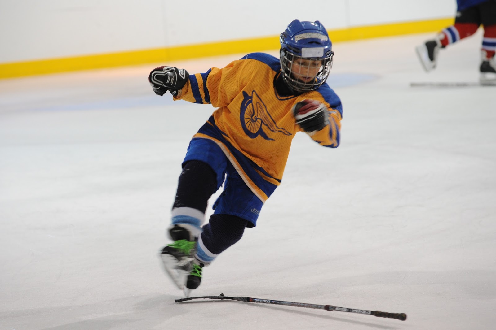 Haringey Junior Ice Hockey