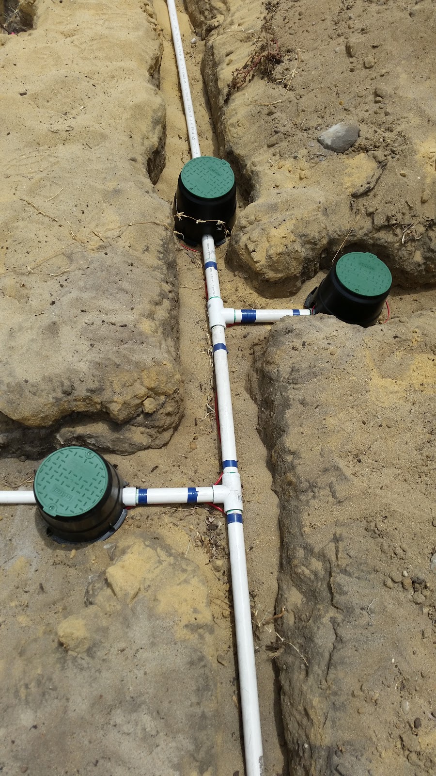 Jarrah Jungle: Courtyard Garden: Setting Up Automatic Reticulation And ...