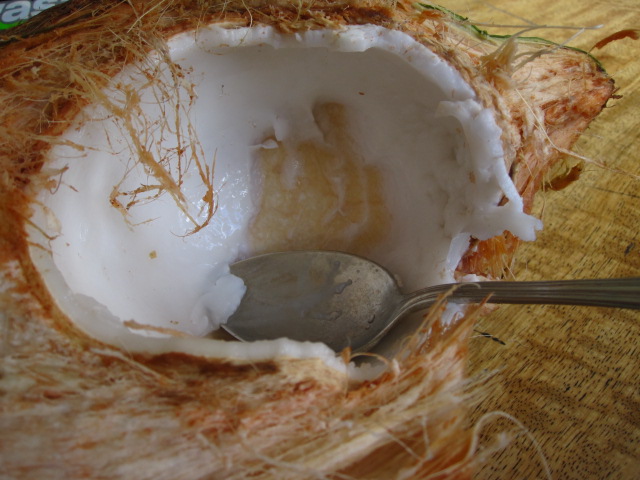 Candice's Cusina: Buko (Young Coconut) Custard Pie