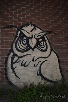 Photo Spear: The Graffiti Owl