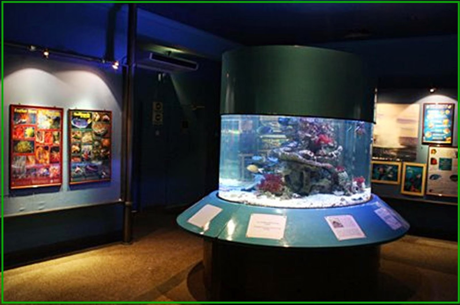 KERETA SEWA DI KOTA KINABALU SABAH - 0145586425: AKUARIUM & MUZIUM UMS