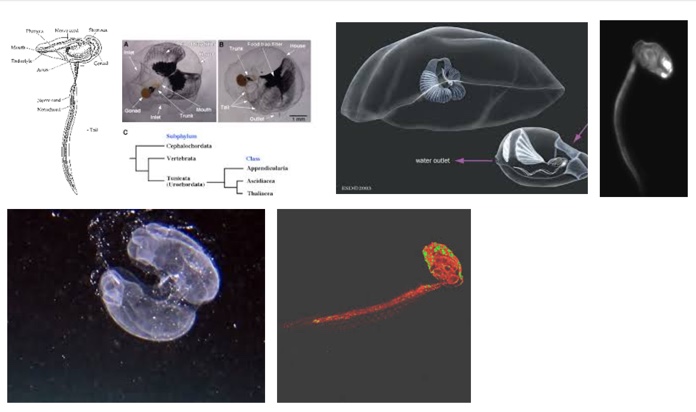 Be bold in your reading! You have the tools to read anything...
