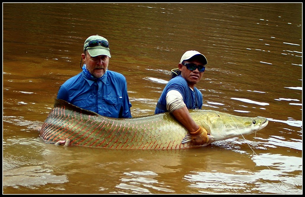 Gorge Fly Shop Blog: Monster Arapaima in the Deep Jungle of Guyana