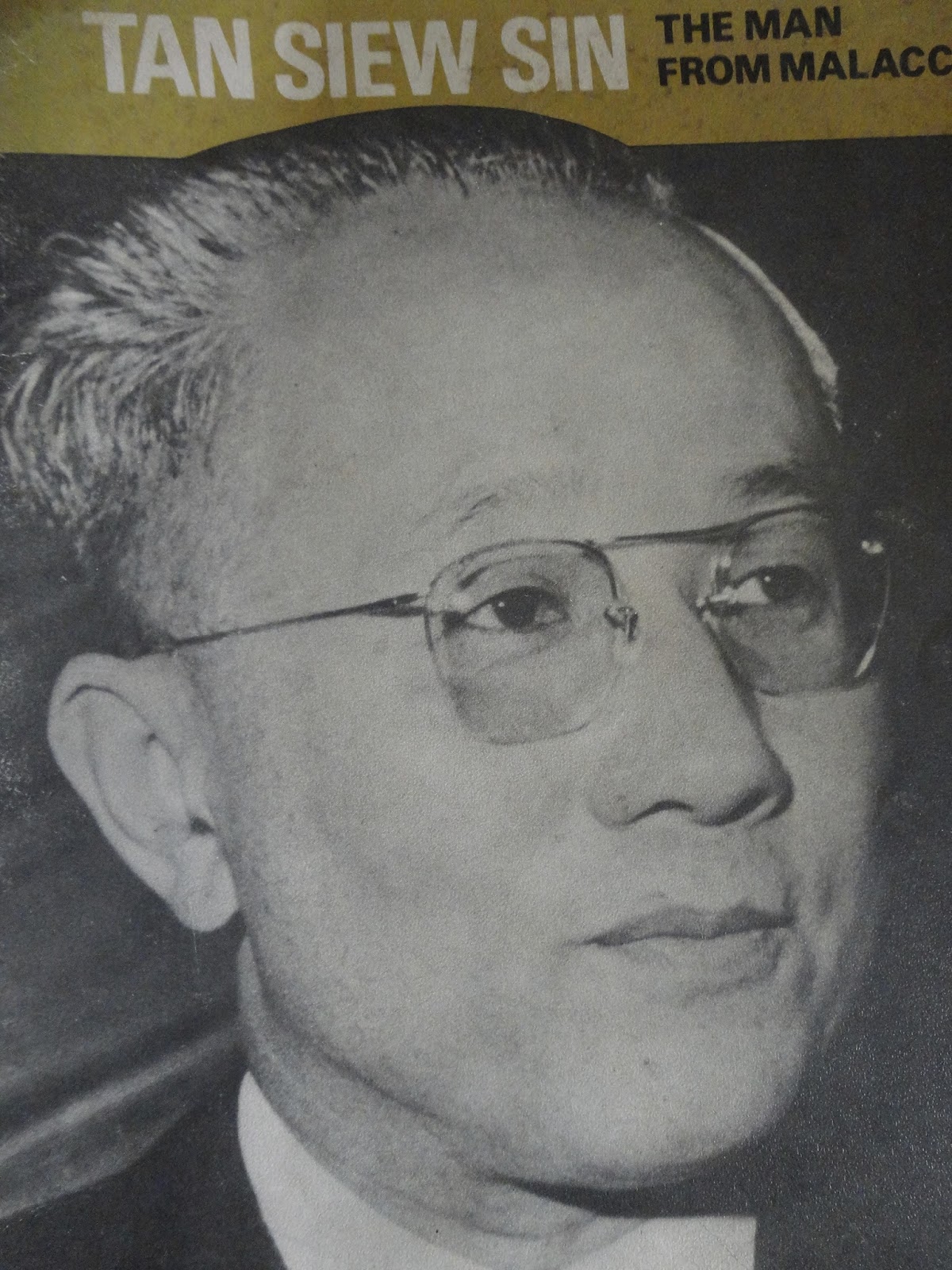 SUSTAINABLE LIVING INSTITUTE (SAVE): TAN SIEW SIN WAS NO NAJIB