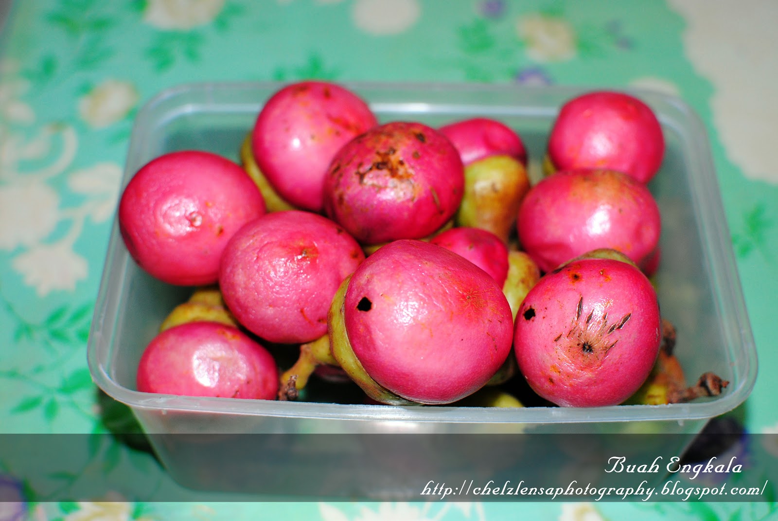 Buah Engkala | ChelzLensa