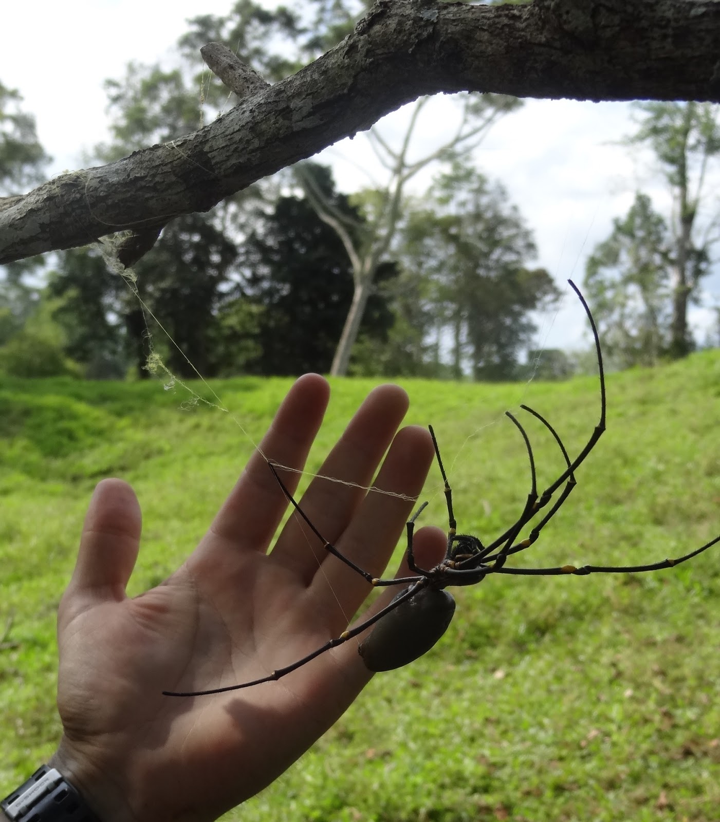 Sister Sarah Draper in Vanuatu: Finding a Gold Mine!