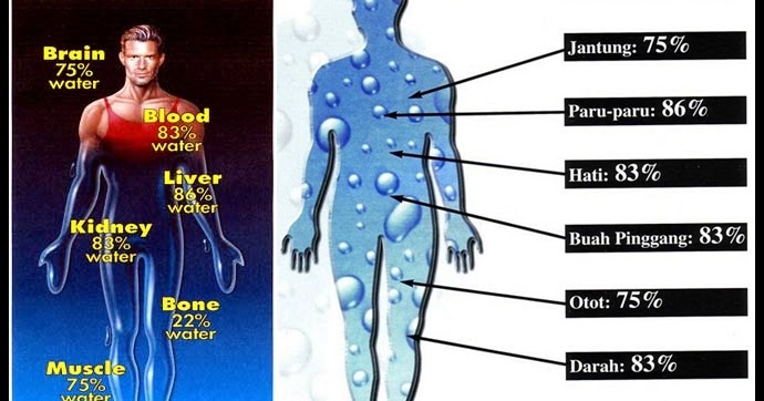 Pengertian Cairan tubuh dan Bagaimana Pertukaran Cairan dalam Jaringan