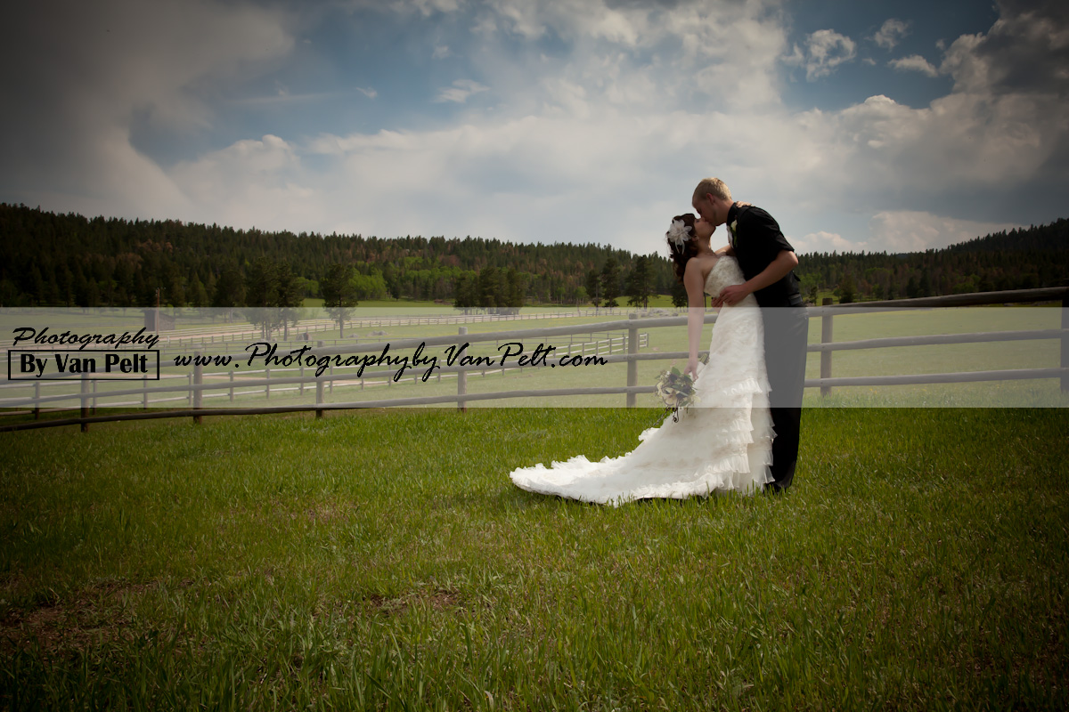Colorado Wedding Photographer, Senior Portraits, Newborns, Photography ...