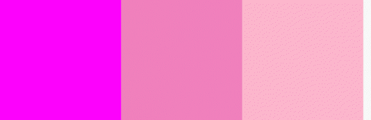 Rosa color morada - Imagui