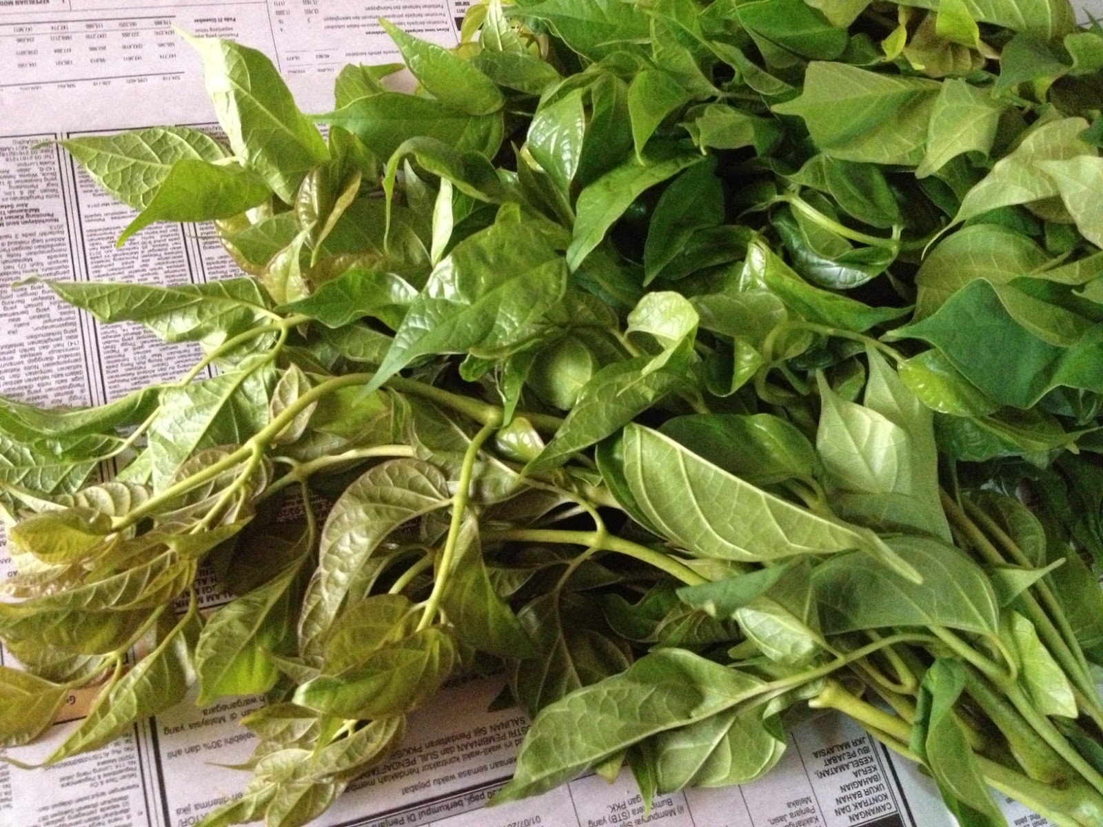 Cik Wan Kitchen: August 2013