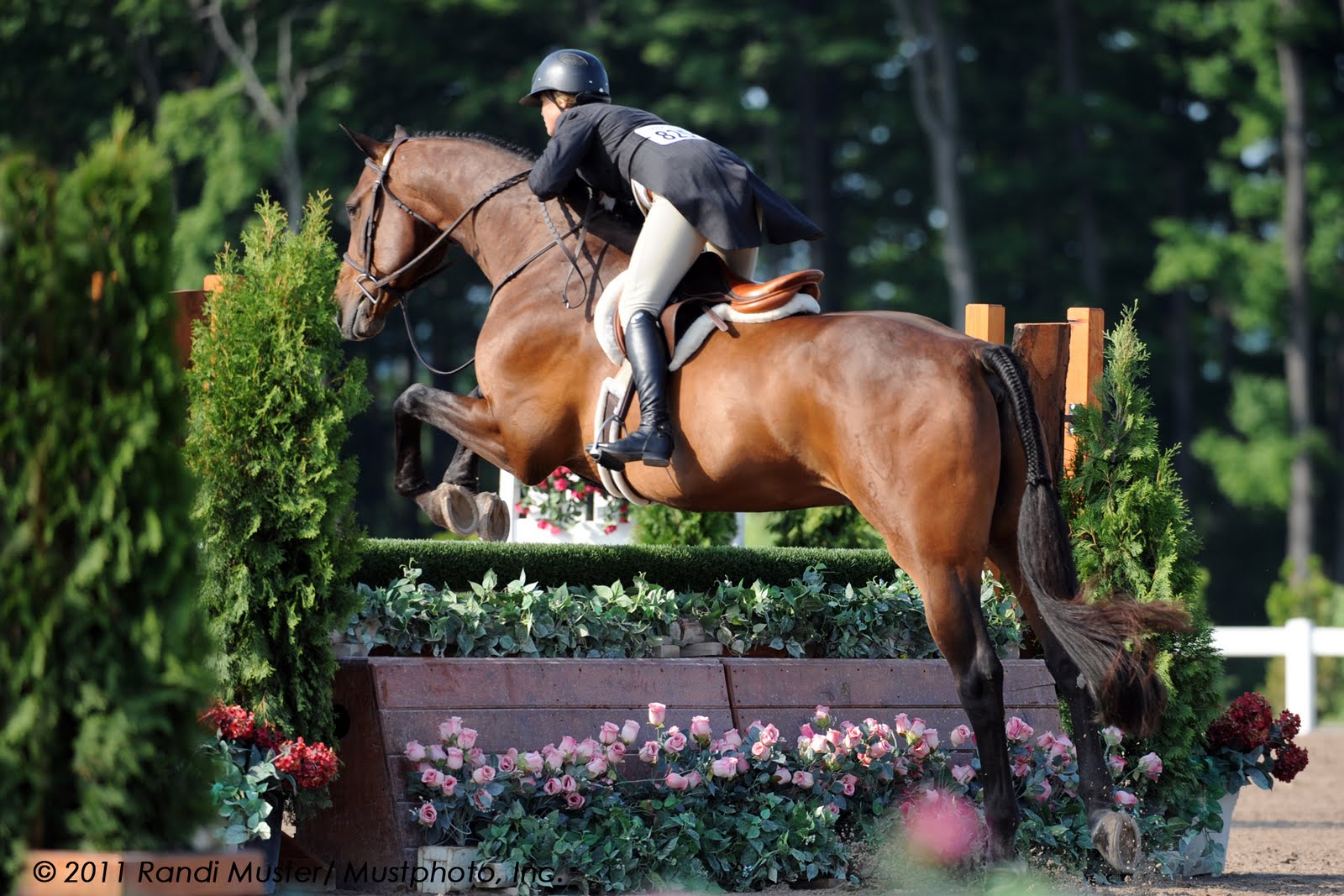 Robyn Story Designs and Boutique: Robyn Story Designs and Horse Shows??