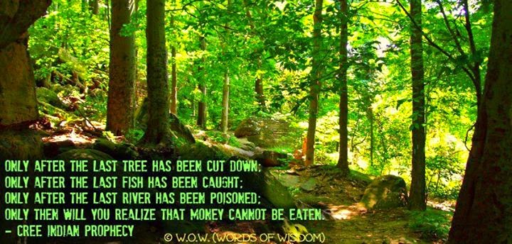 Only after the last tree has been cut down only after the last fish has ...