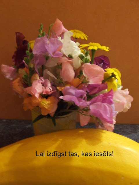 Valodošanās: 1. septembris