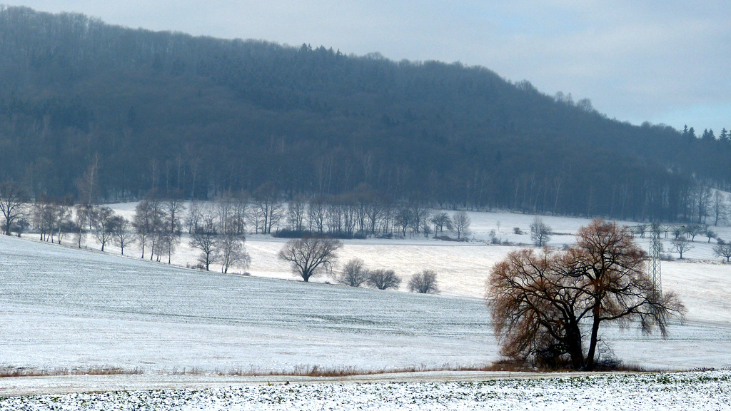 Naturwunder ...: Wanderung zum Rotstein bei Löbau