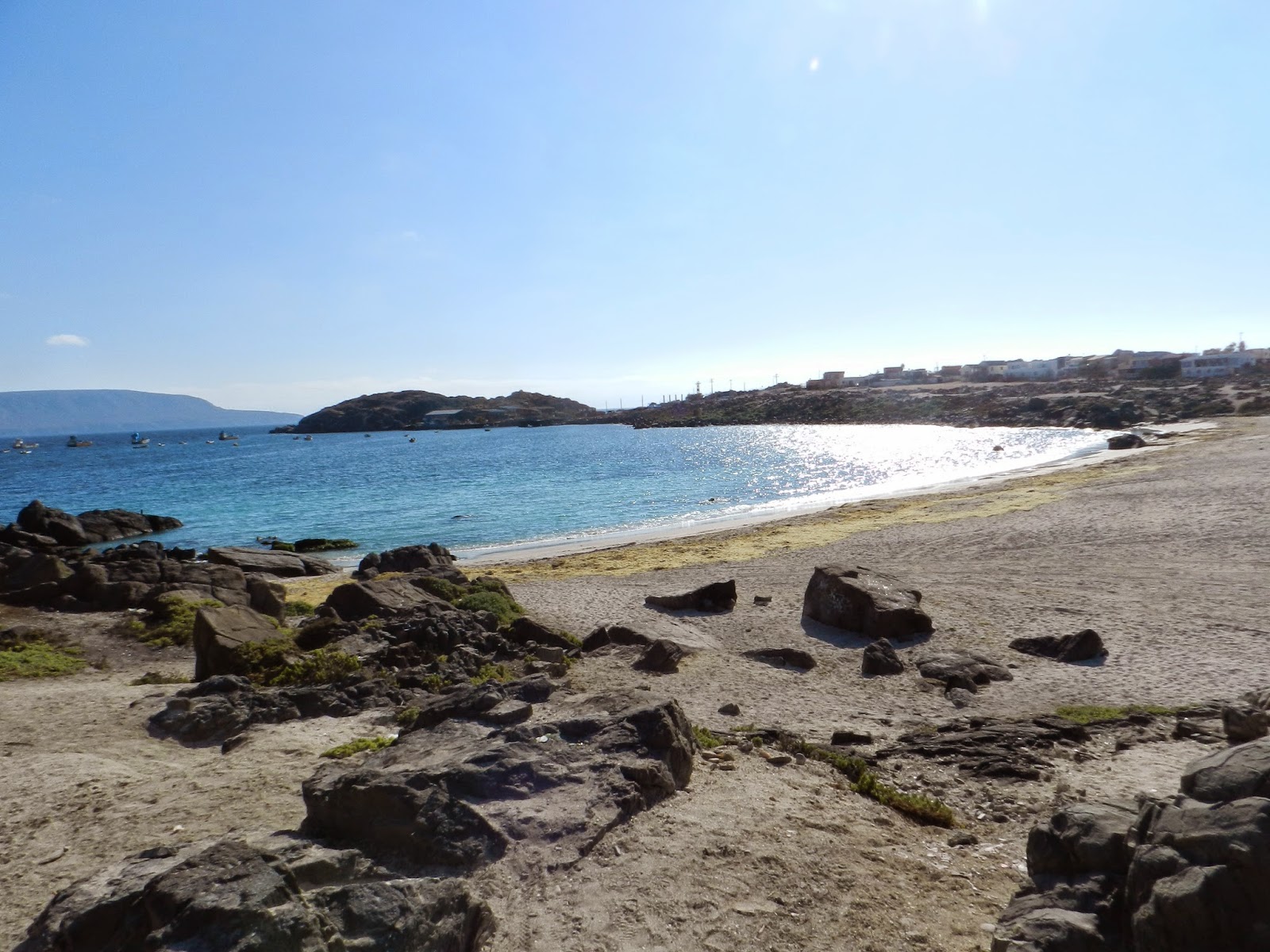 Sarah & Rob's South American Adventure!: Bahia Ingles and Caldera, Chile