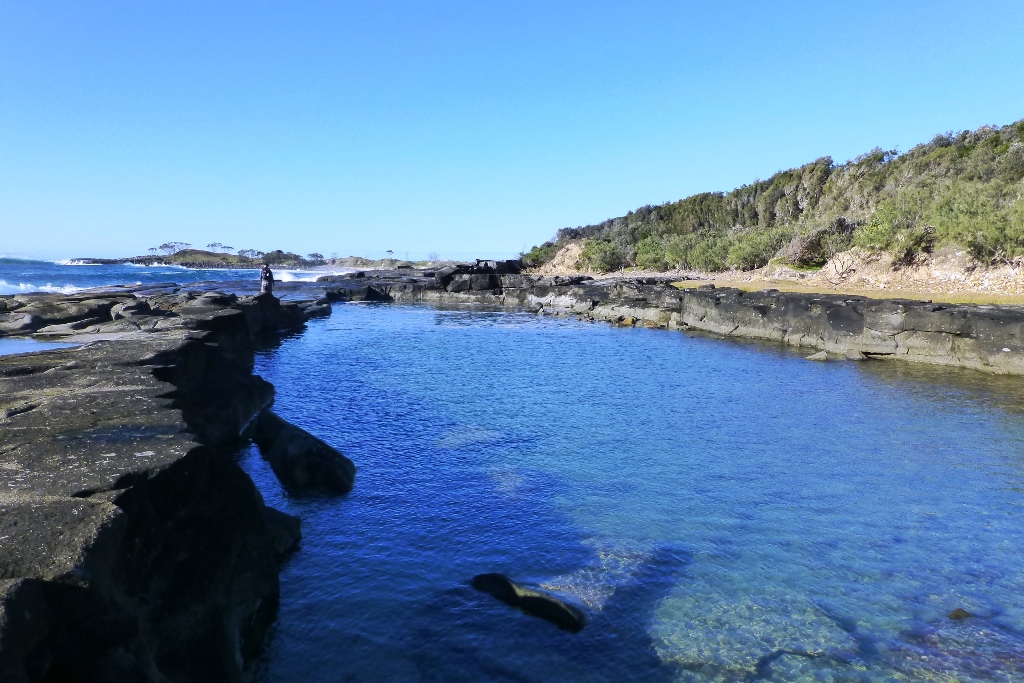 National Park Odyssey: Angourie and Yuraygir National Park, NSW.