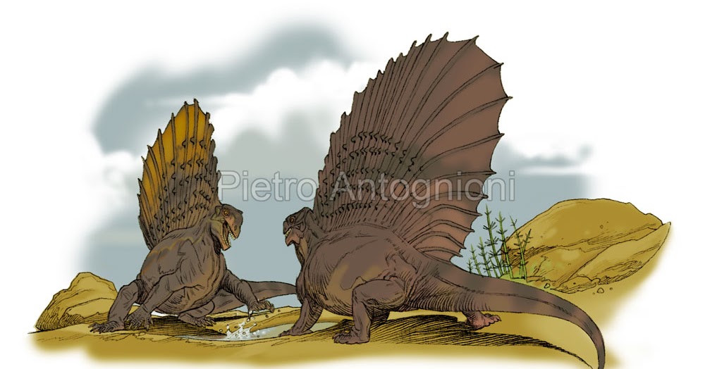 Pietro's Paleoart: Edaphosaurus